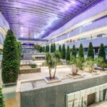 didar-garden-didar-cafe - Living in Tehran (LiT)